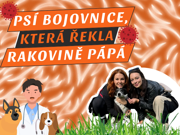 31. DÍL PODCASTU SMEČKA: Panda - psí bojovnice, která nakopala rakovin ...