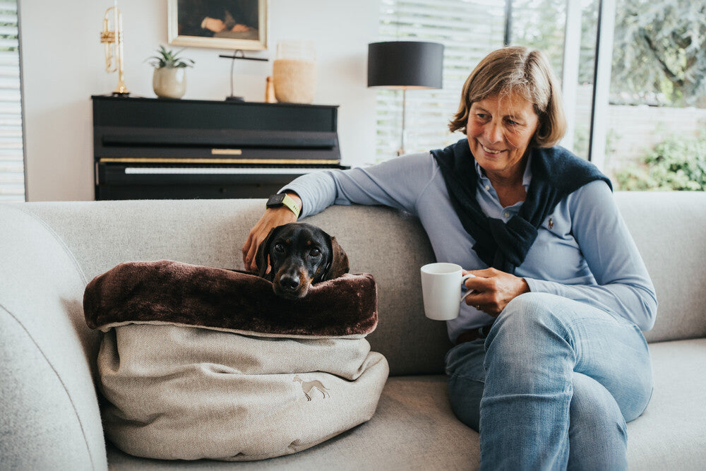 TEMPERAMENT AS THE MOST IMPORTANT ASPECT WHEN CHOOSING A DOG COMPANION ...