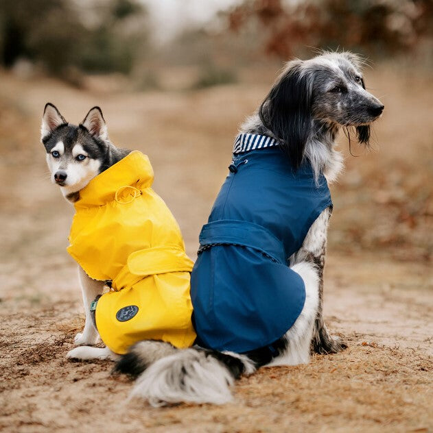 Pláštěnky – We love dogs CZ